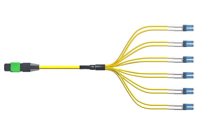 Single-mode MTP Armored Breakout Cable, 12 Strand, 15ft